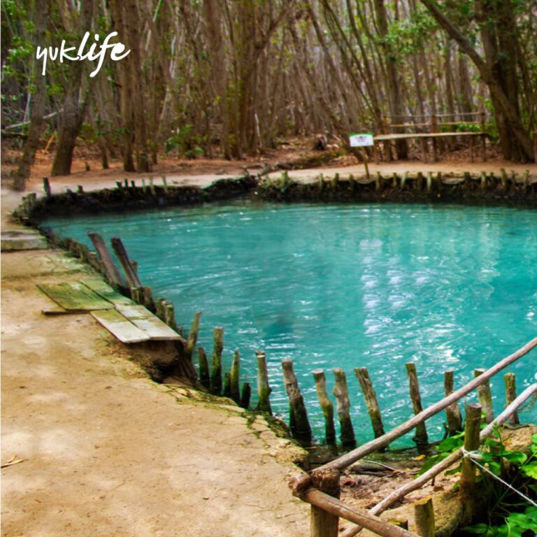 Reserva Ecológica El Corchito, una aventura entre naturaleza